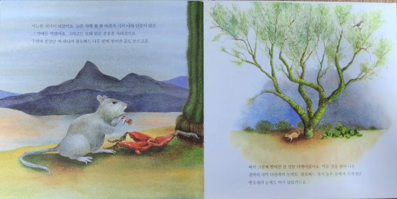 마음이크고생각이크는책읽기 독후화 그리기 Feat 선인장 호텔 을 읽고 네이버 블로그