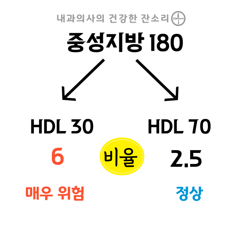 건강 검진 혈액검사 중성지방 Hdl 콜레스테롤 비율 확인해보세요 네이버 블로그