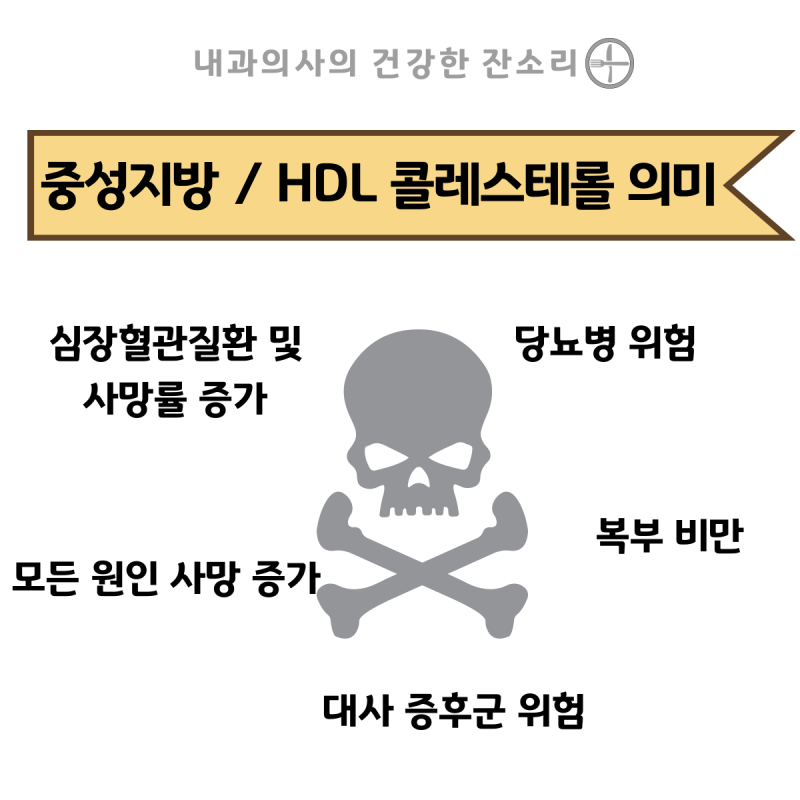 건강 검진 혈액검사 중성지방 Hdl 콜레스테롤 비율 확인해보세요 네이버 블로그