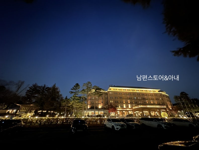 메이필드호텔 슈페리어트윈룸 조식 수영장 후기 네이버 블로그