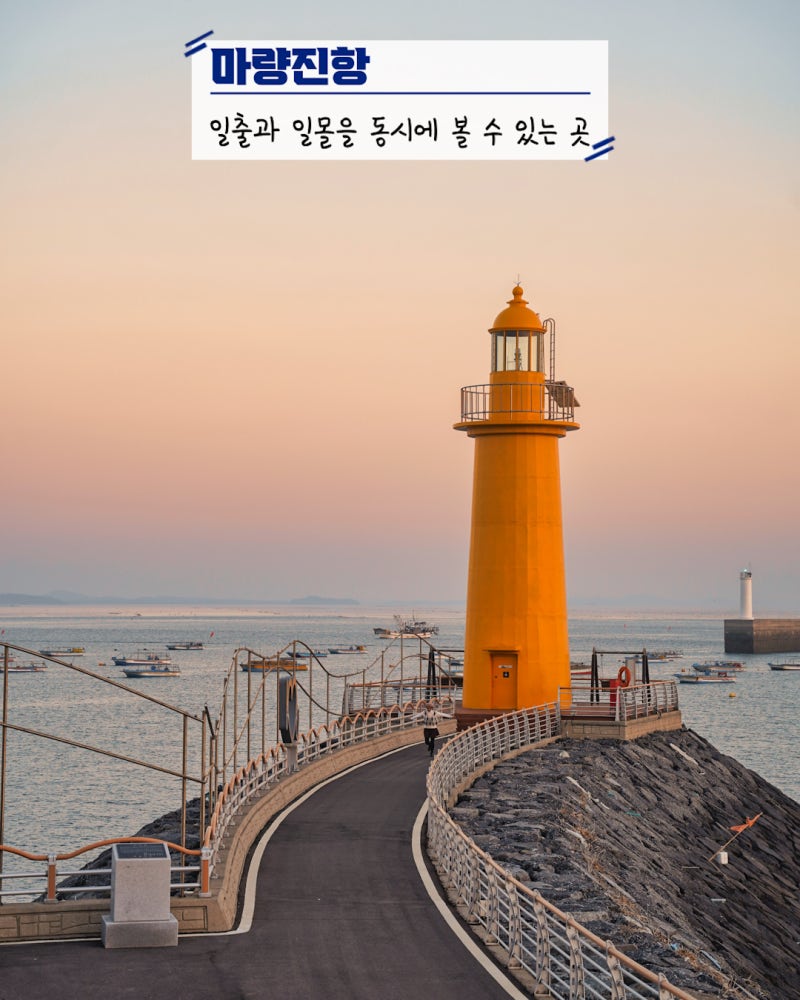 충남 서천 가볼만한곳 Best🌼 당일치기 여행 코스 마량진항 등 네이버 블로그
