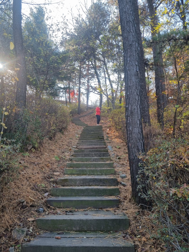 블랙야크 한남정맥 부천 성주산 등산 최단코스 산행기 수려사 원점복귀 네이버 블로그