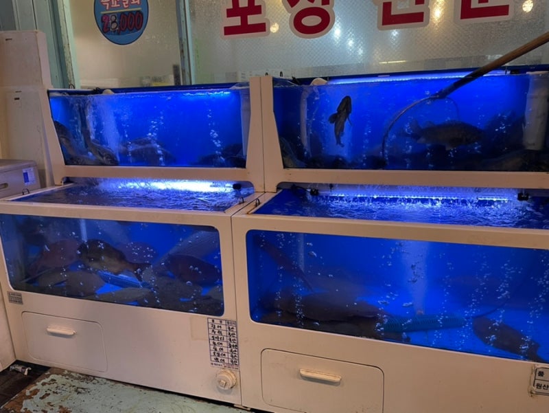 사당역 횟집 가성비 좋은 좌석 넓은 횟집 사당역 속초어시장 네이버 블로그