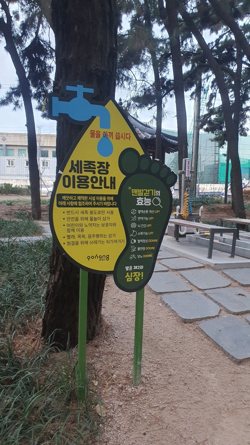 포항 맨발걷기 좋은 길 30선 5 송도 솔밭 도시숲 네이버 블로그