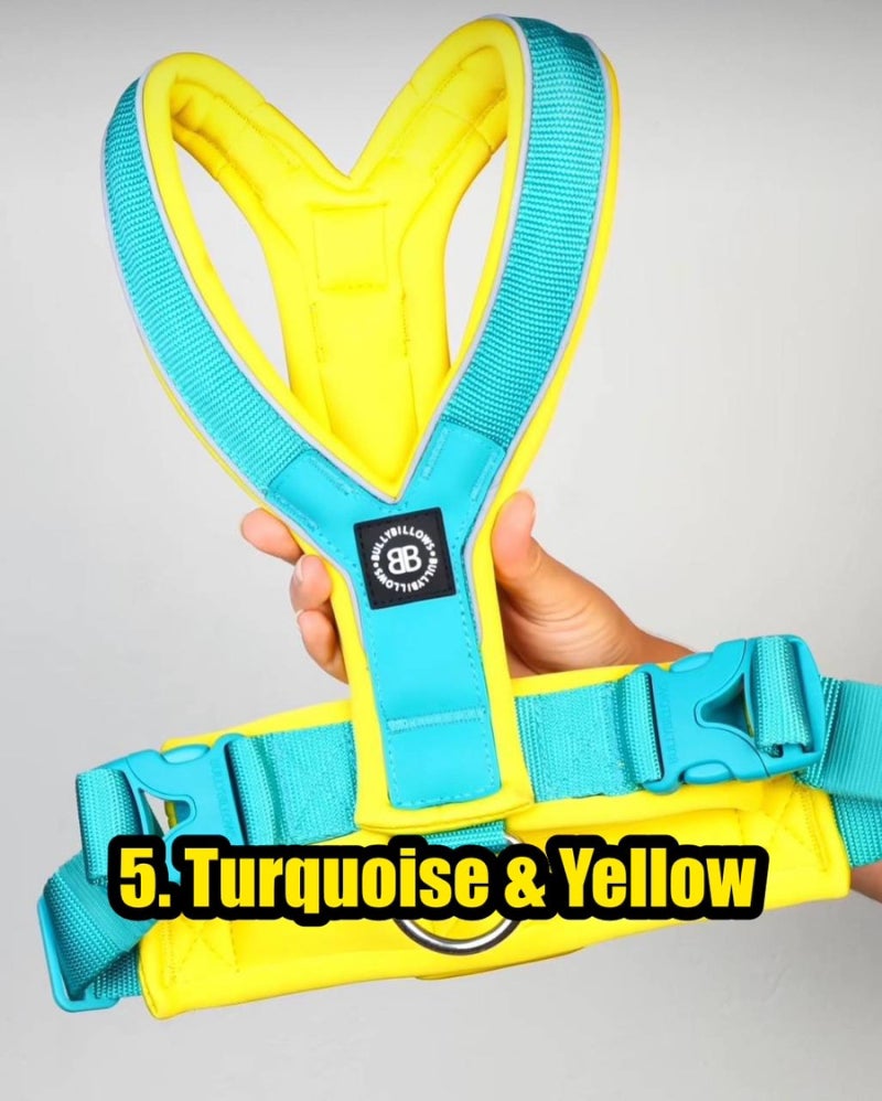 불리빌로우 | 2 x tone RR Harness [사전예약] : 네이버 블로그