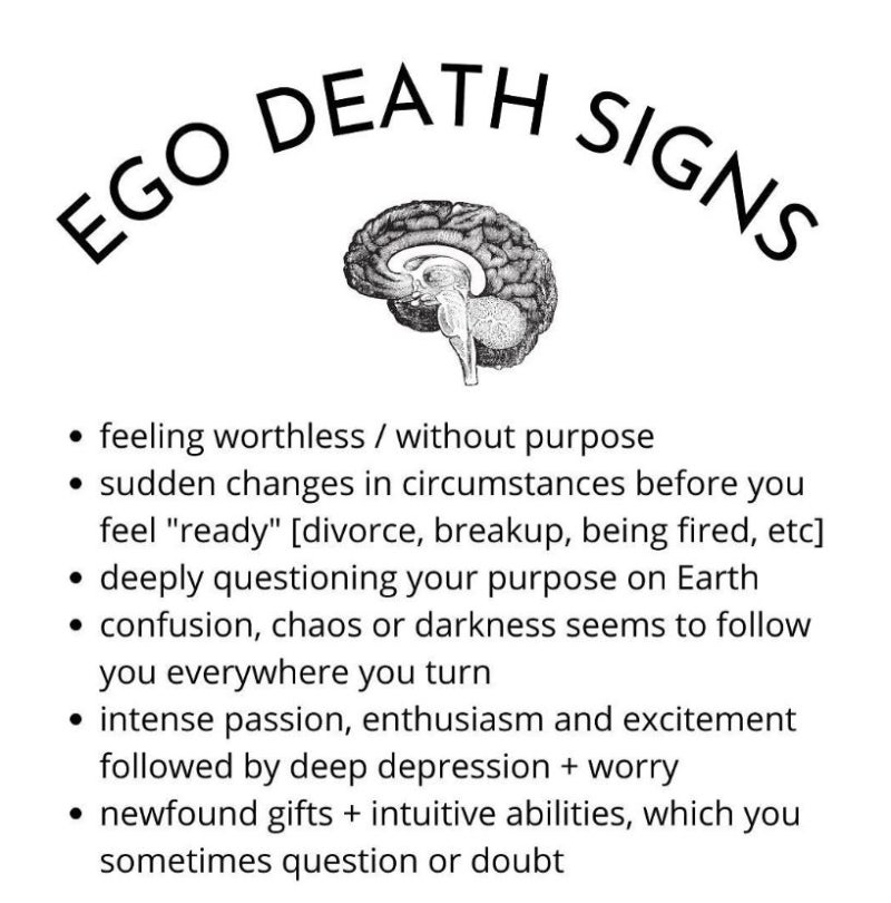 #63 트윈 플레임, 에고가 죽었다는 신호. (Ego Death Signs) : 네이버 블로그