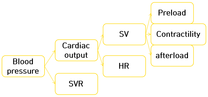 Fluid response를 확인하기 위해 PPV, SVV를 측정하는 이유와 수동하지거상(passive Leg elevation ...