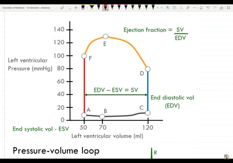 Palpitation 심계항진 및 Preload, Afterload, Stroke volume 심장 영어단어 공부하기 : 네이버 블로그
