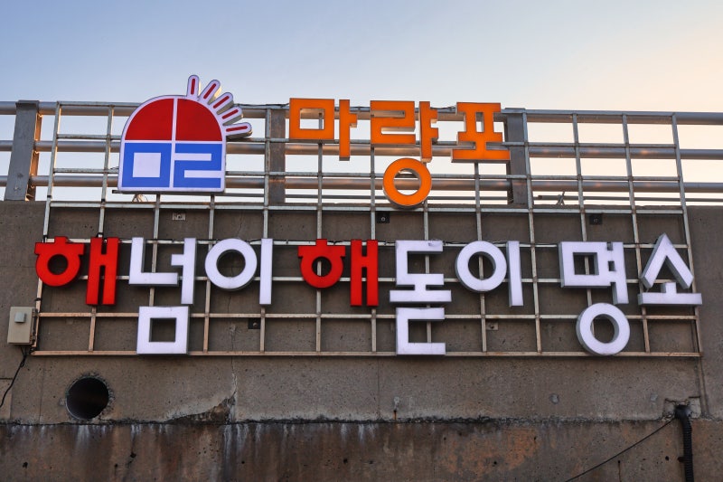 새해 일출 명소일몰 명소🧚‍♀️ 서천 마량포구 마량진항 해넘이해돋이 축제 네이버 블로그