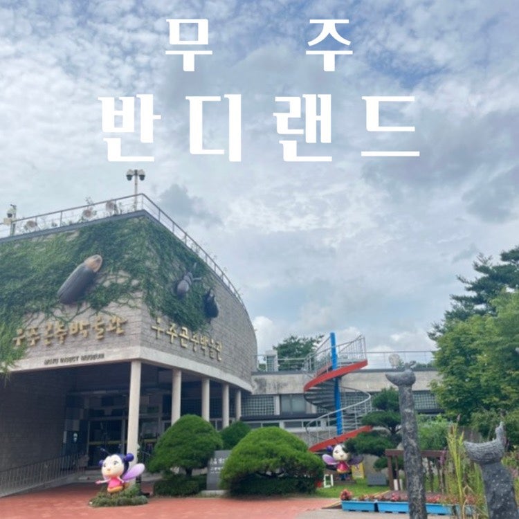 아이와 가볼만한곳 대전 근교 무주반디랜드 야외수영장 곤충박물관 개선공사 후 최근방문 네이버 블로그