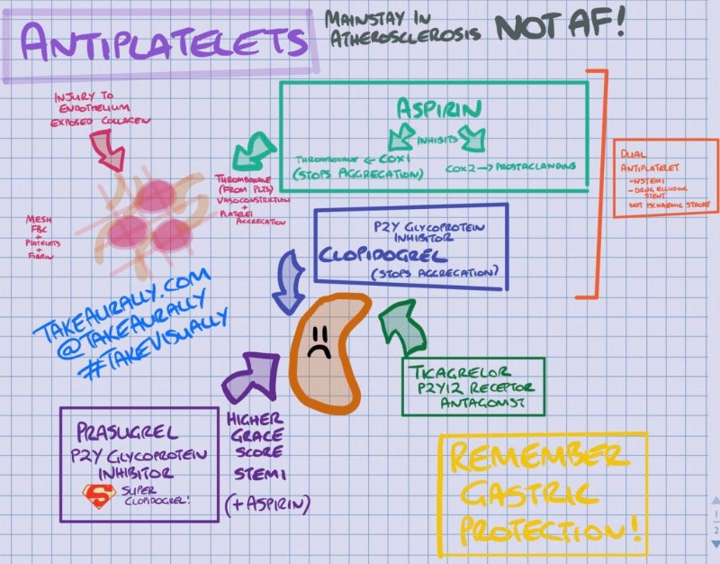 혈전약 종류와 혈전약부작용 알려드려요~ : 네이버 블로그
