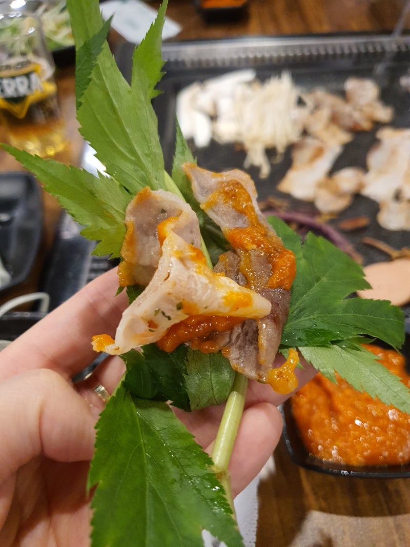 괴정동맛집 한민시장 대패삼겹살 쌈채소가 무제한 한쌈대패 네이버 블로그