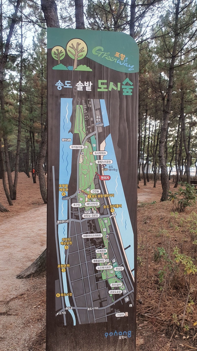 포항 맨발걷기 좋은 길 30선 5 송도 솔밭 도시숲 네이버 블로그