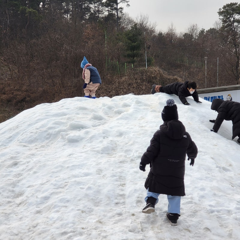 서울근교 겨울나들이 가성비갑 저렴한 경기도 사계절 눈썰매장 사전안내 네이버 블로그