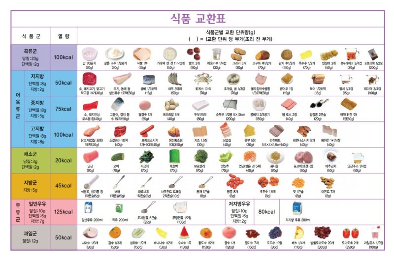 한 끼로 건강한 균형 잡힌 식단 세우는법식품교환표 한방에 정리어려움 주의 네이버 블로그