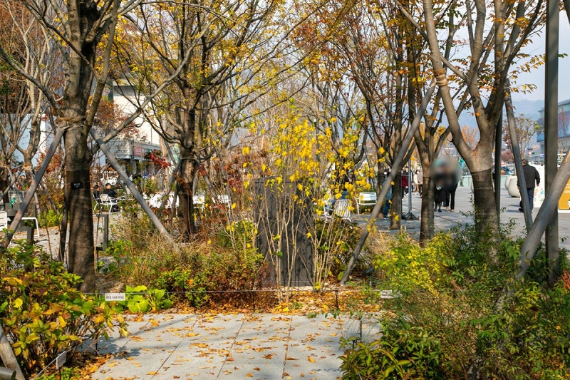 광화문 가볼만한곳 광화문 광장 볼거리 놀거리 서울 혼자놀기 네이버 블로그