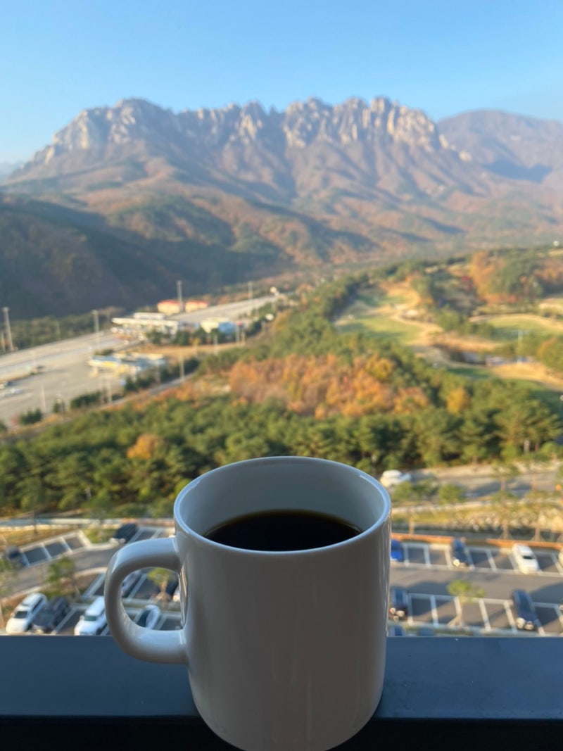 고성숙소 강원도 고성 울산바위뷰 보며 자쿠지 가능한 소노펠리체 델피노 로얄 스위트룸 숙소 후기 네이버 블로그