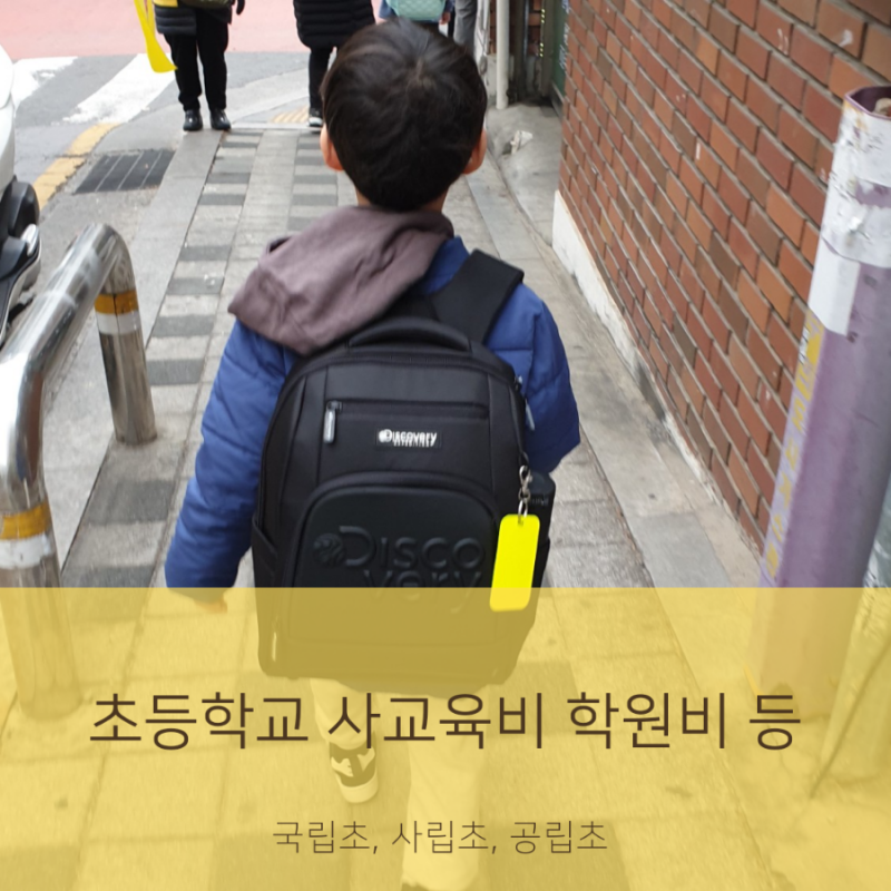 국립초 사립초 공립초등학교 교육비 얼마나들까 방과후와 학원비 사교육비 네이버 블로그