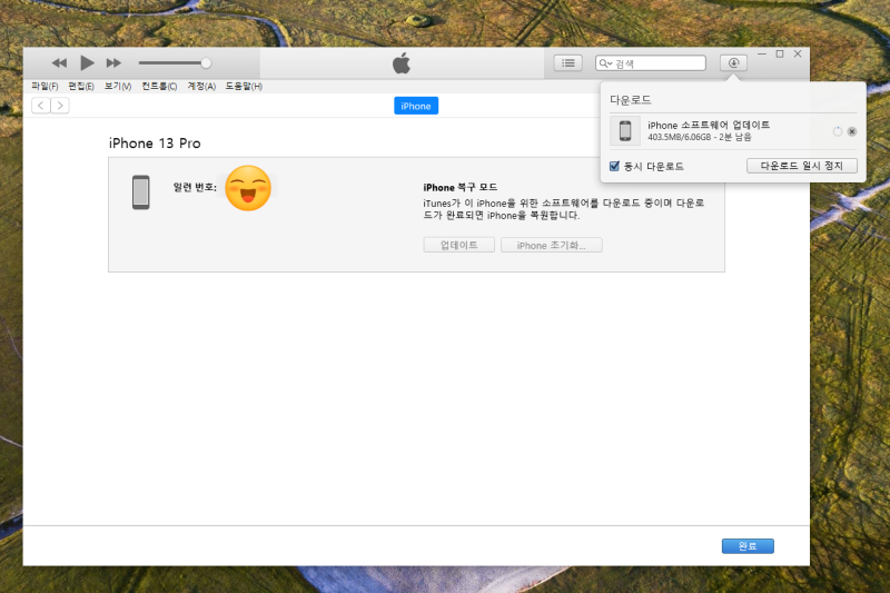 아이폰 아이패드 초기화 복구 방법 공장초기화 아이튠즈 Dfu 리커버리 네이버 블로그