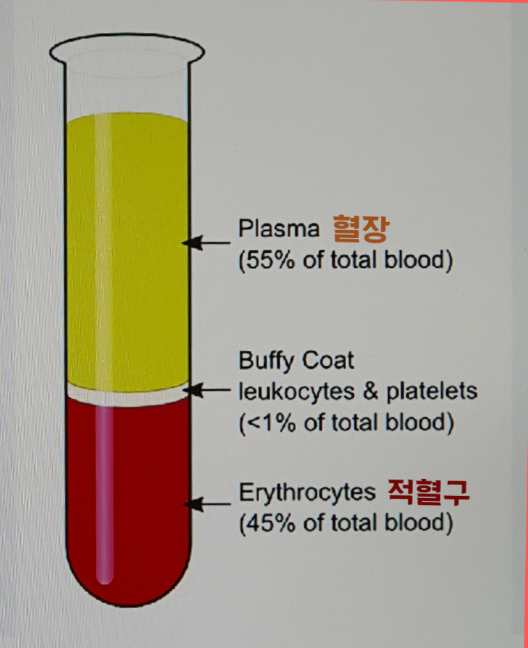 Hematocrit 적혈구 용적률 검사 (HCT) 수치 결과 38로 나왔다고 걱정하네요. 헤마토크릿 뜻과 정상수치 알아보아요 ...