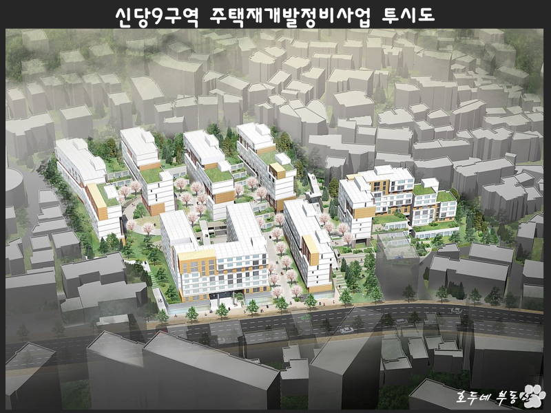 신당9구역 세대수 변경과 시공사 선정일정 네이버 블로그