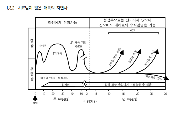 매독 검사 양성 진짜 매독일까 매독 증상 검사 치료 네이버 블로그