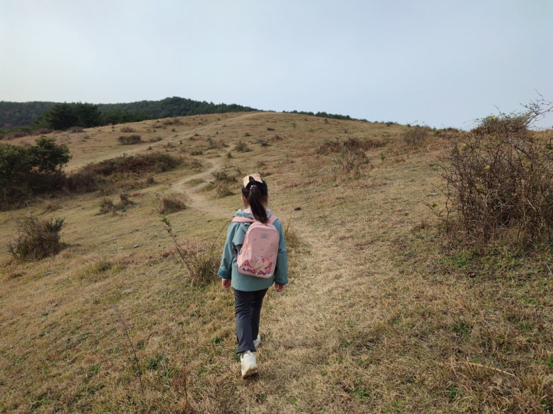 제주도 동쪽 오름 추천 아이와 표선 가볼만한곳 서귀포 겨울 여행 제주 영주산 네이버 블로그
