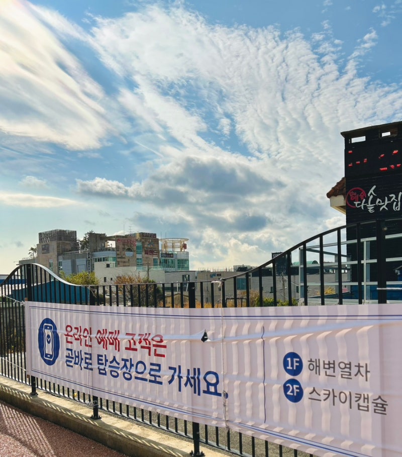 부산 스카이캡슐 예약 팁 해변열차 차이점 미포 정거장 주차 랑데자뷰 해운대 네이버 블로그