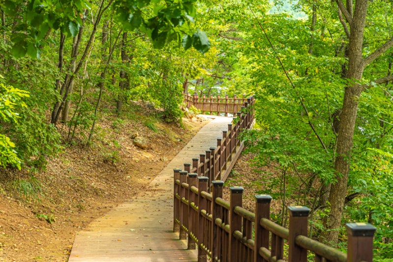 청양 가볼만한곳 4곳 추천 청양우거디 칠갑산칠갑광장 등산 코스 천장호출렁다리 백제문화체험박물관 네이버 블로그