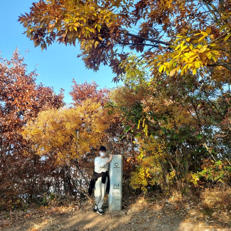 전남 구례 여행절벽 위의 사찰 사성암 Feat소원바위와 오산 네이버 블로그