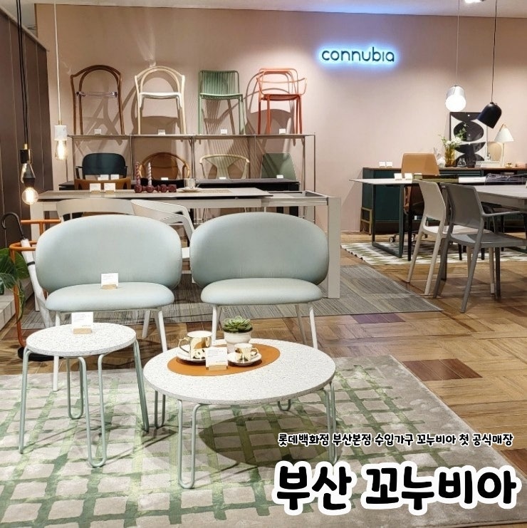 롯데백화점 부산본점 수입가구 꼬누비아 첫 공식매장 네이버 블로그