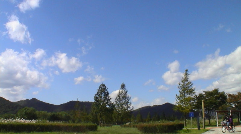 빈티지 캠코더 JVC gz-mg255(+일본중고나라 직구방법) : 네이버 블로그