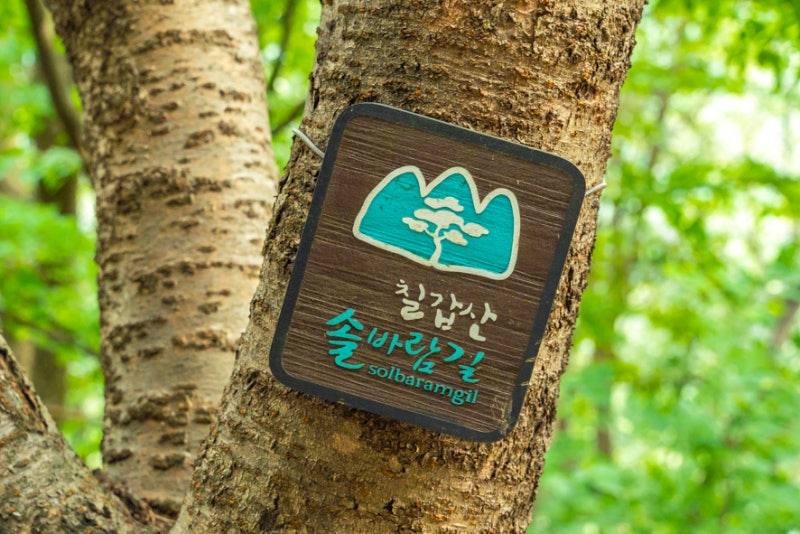 청양 가볼만한곳 4곳 추천 청양우거디 칠갑산칠갑광장 등산 코스 천장호출렁다리 백제문화체험박물관 네이버 블로그