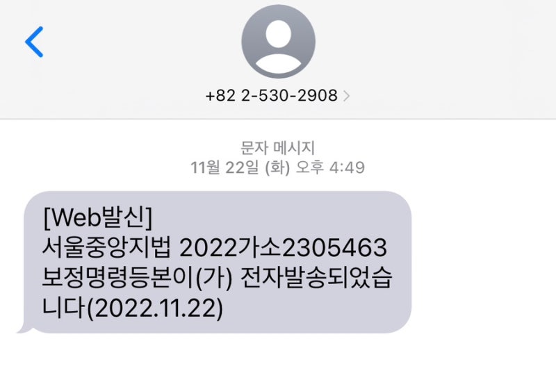 나홀로 전자소송 보정명령등본을 위해 금융거래정보 제출명령 신청서 제출 네이버 블로그