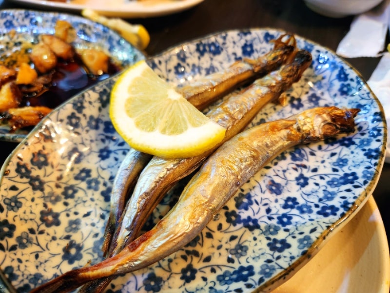 도쿄 신주쿠 오모이데 요코초 야키토리 맛집 꼬치구이 선술집 거리 가볼만한곳 네이버 블로그