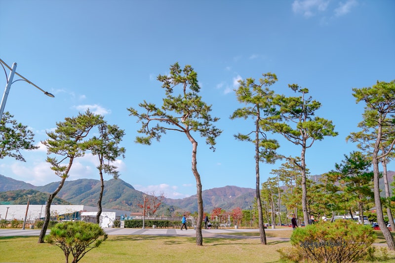 충북 제천 가볼만한 곳 의림지 용추폭포 유리전망대 걷기 좋은 곳 네이버 블로그