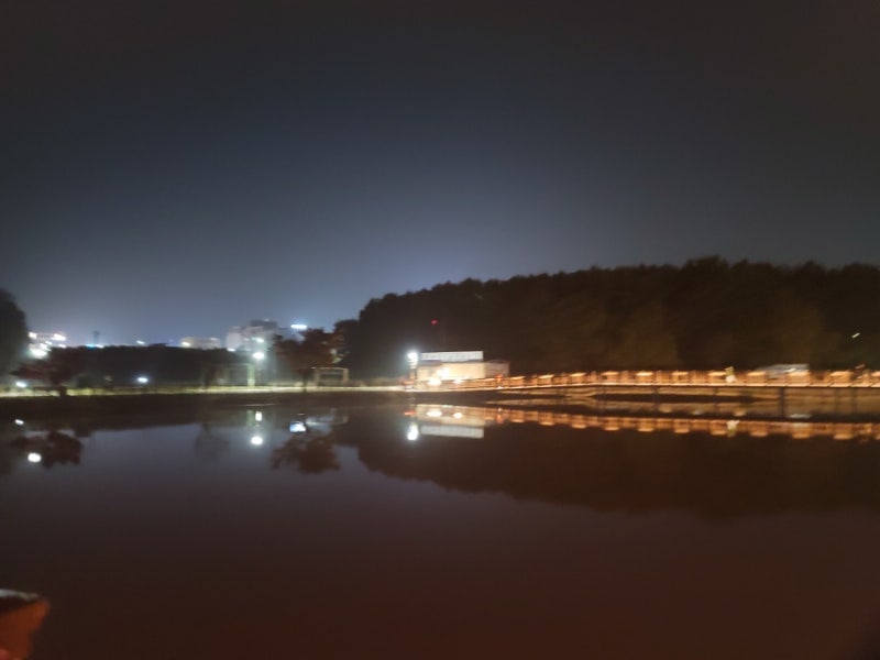 성성호수한바퀴 천안여행 천안호수걷기 성성호수공원 한바퀴걷기 호수공원밤산책 네이버 블로그