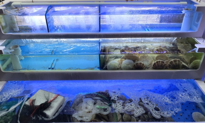 광주 수완지구 맛집 바다수퍼해물천하조개구이 완벽했던 조개찜 네이버 블로그