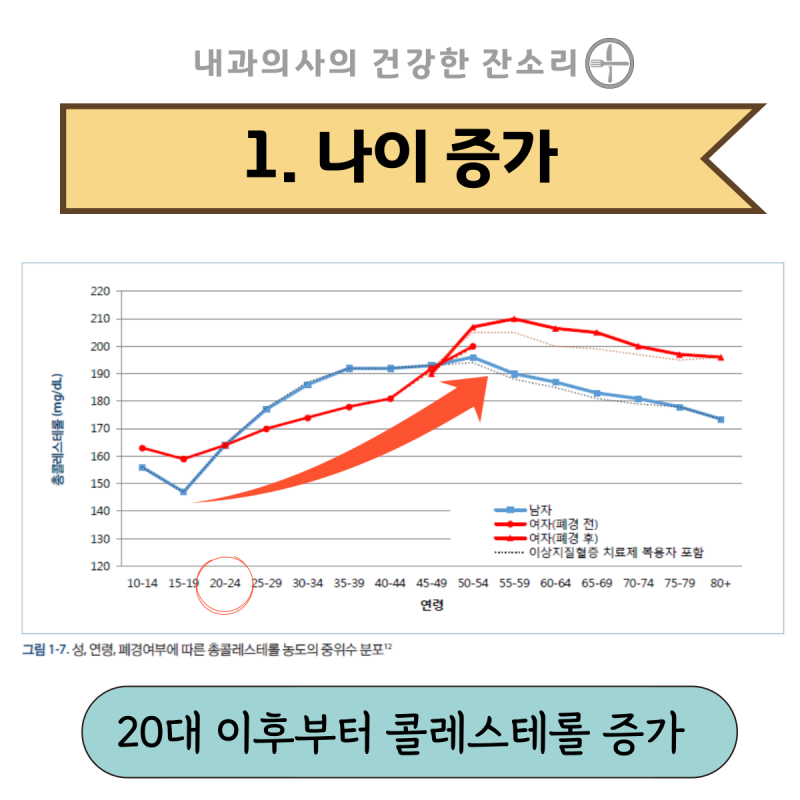 콜레스테롤이 높은 이유 무엇인가요 콜레스테롤 증가하는 8가지 원인 네이버 블로그