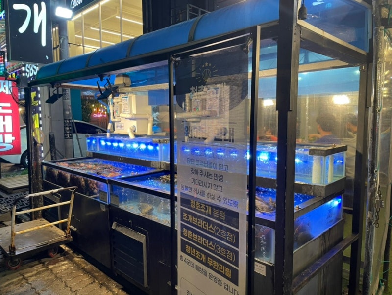 오이도 조개구이 청춘조개 청춘브라더스 내돈내산 무한리필 조개구이맛집 네이버 블로그