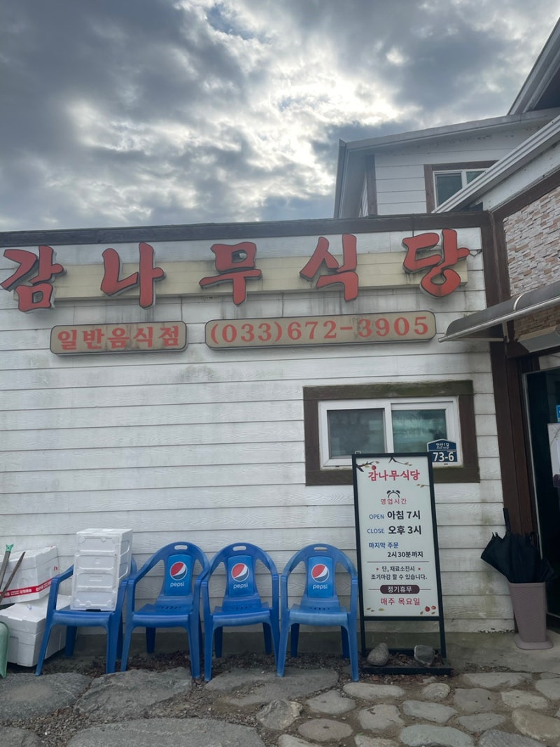 양양 로컬 맛집 이런 황태국밥이라면 매일 아침으로 먹겠다 감나무 식당 네이버 블로그