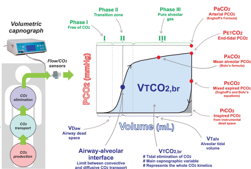 인공호흡기 환자에서 ETCO2(End tidal CO2), 호기말이산화탄소분압 모니터링(capnography) : 네이버 블로그