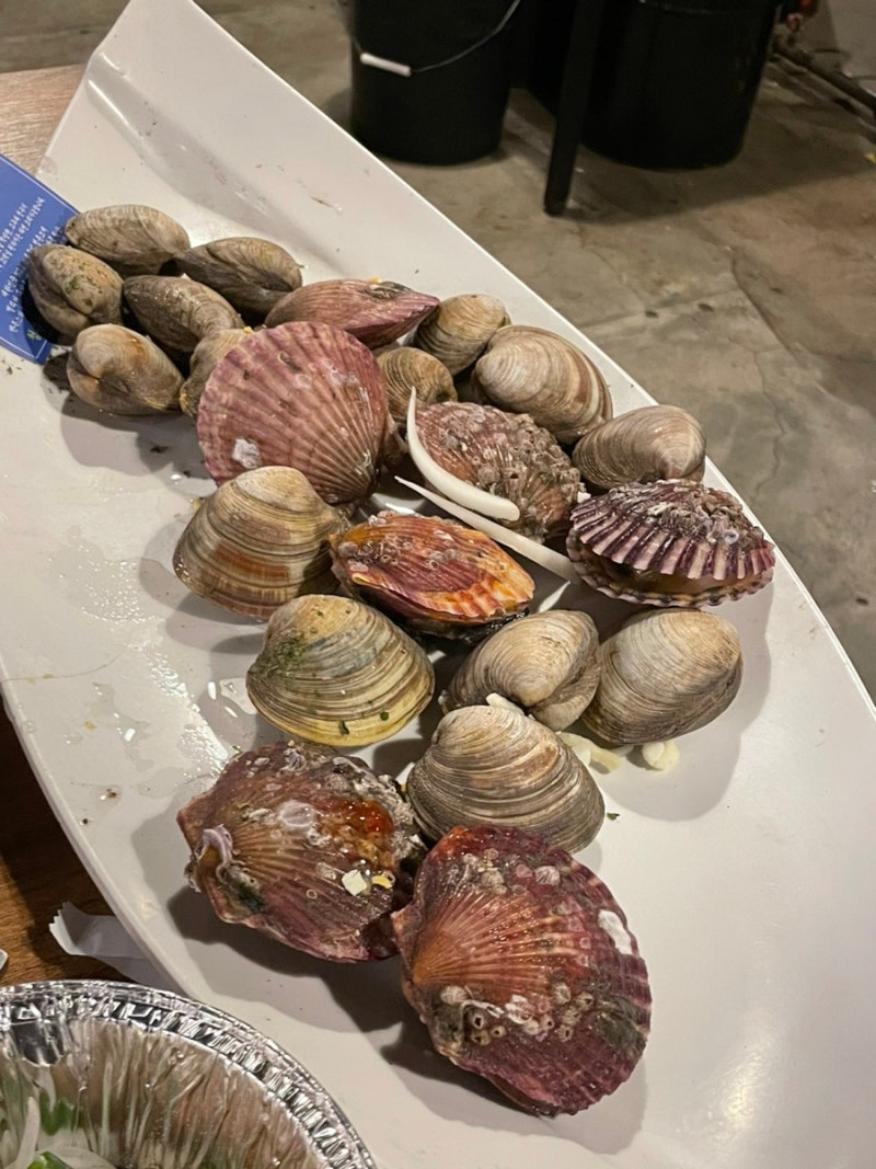 오이도 조개구이 청춘조개 청춘브라더스 내돈내산 무한리필 조개구이맛집 네이버 블로그