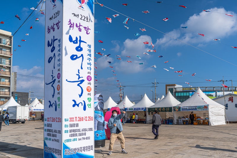 제주도 최남단 모슬포 방어축제 겨울 제주 여행 가볼만한곳 네이버 블로그