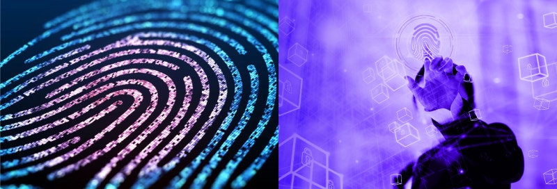 LG CNS DID PLATFORM 띠딧 : 네이버 블로그