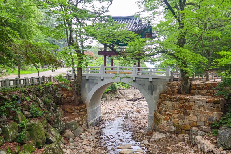 구례 사찰 여행 구례 지리산 천은사 3대 사찰 천은저수지 상생의 길 네이버 블로그