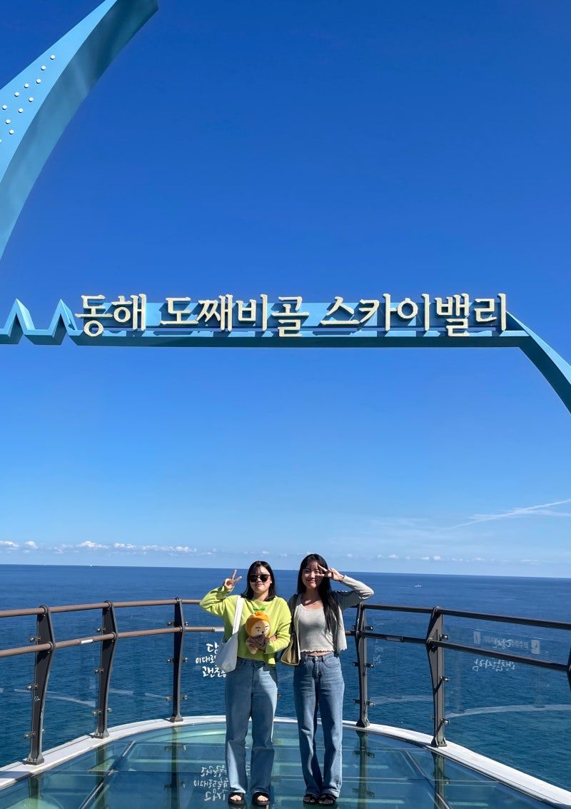 강원도 겨울 추천 여행지 묵호 동해 도째비골 스카이밸리 평창 육백마지기 삼척 초곡용굴촛대바위길 네이버 블로그