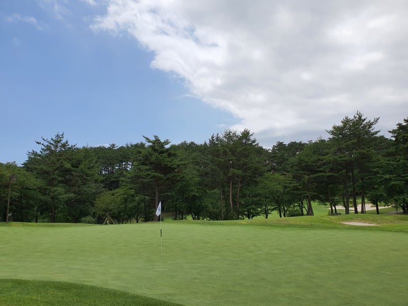 강원도 2인 골프장 조인 가능한 곳 메이플비치cc 파인리즈cc 샌드파인cc 네이버 블로그
