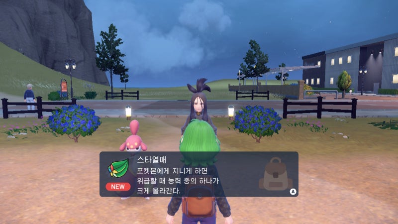 공략 포켓몬스터 스칼렛바이올렛 Sv 뉴비를 위한 포켓몬 실전 입문서 기초 개념편 능력치종족값개체값특성성격