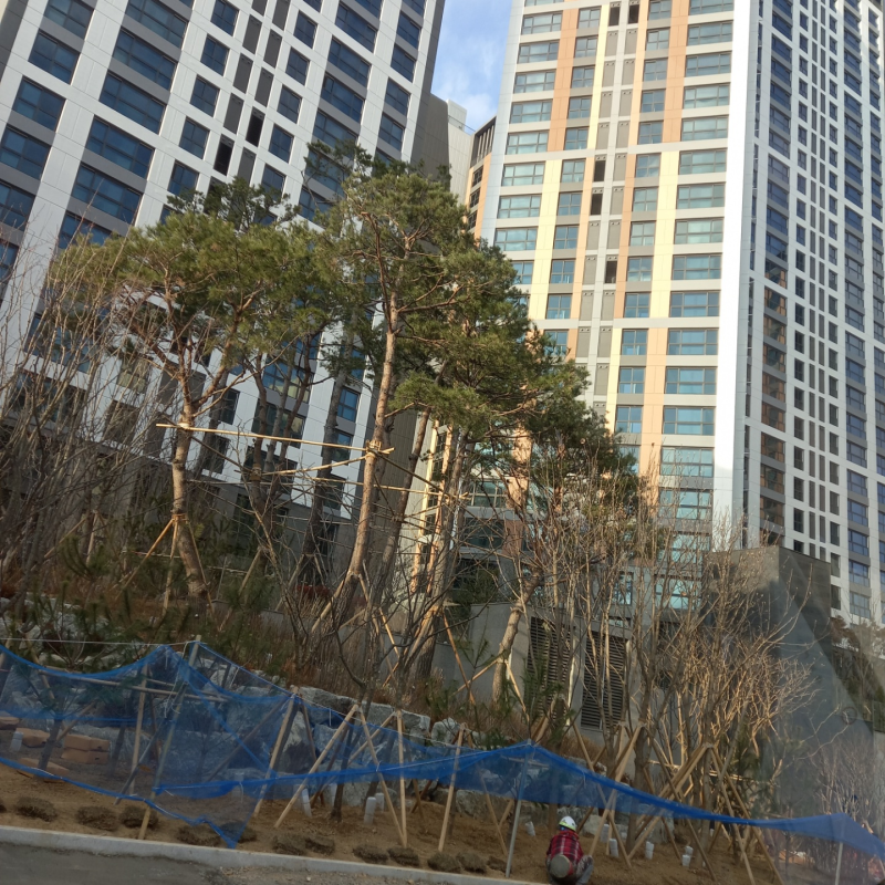 대구 중구 남산동 준신축 3억대 분석청라힐스자이 대신센트럴자이 남산화성파크드림 남산극동스타클래스 비교 네이버 블로그